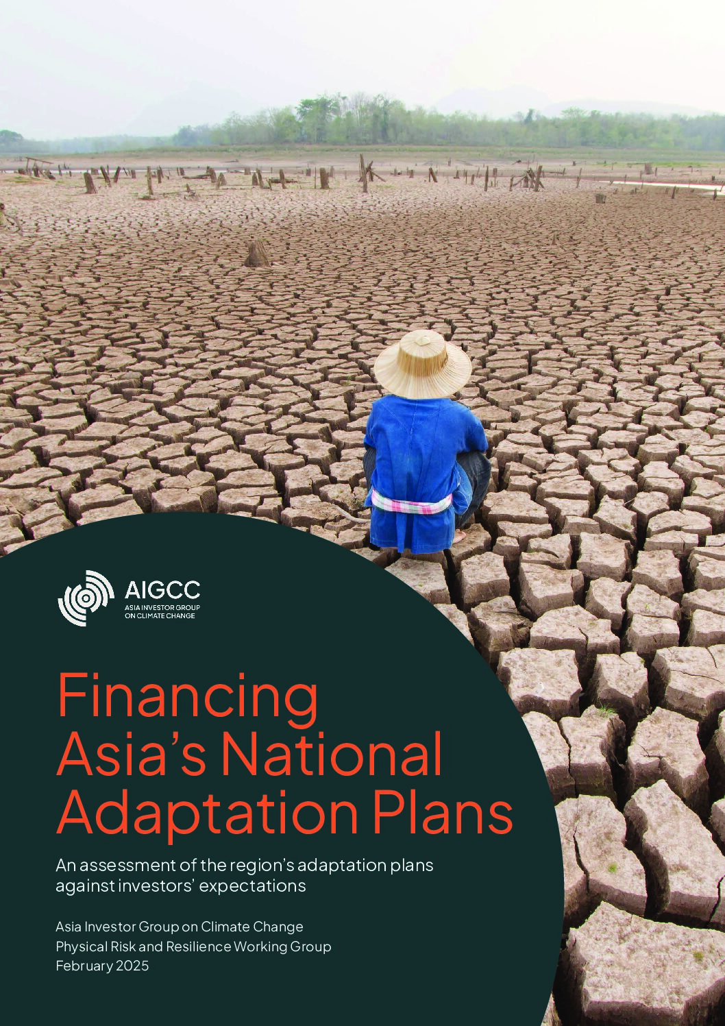 Asian Markets’ National Adaptation Plans (NAPs) are building blocks for ...